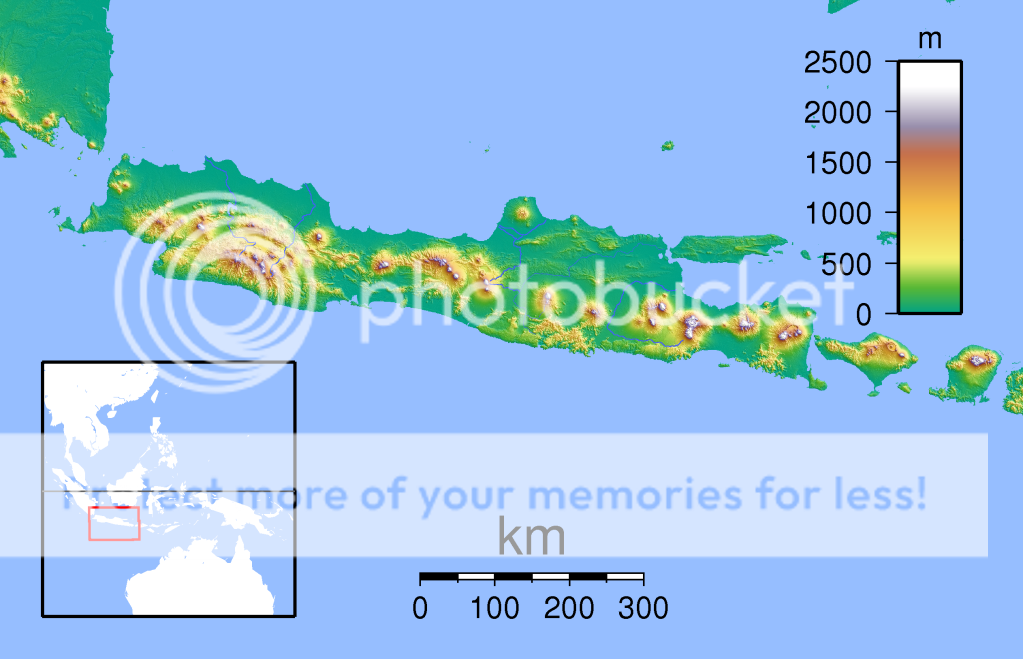 The Dragon Bird { Green Peafowls | Page 18 | BackYard Chickens - Learn ...