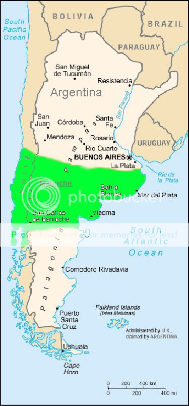 Mapuche/South American Crested/ Nikkei/Kiri Kiri | BackYard Chickens ...