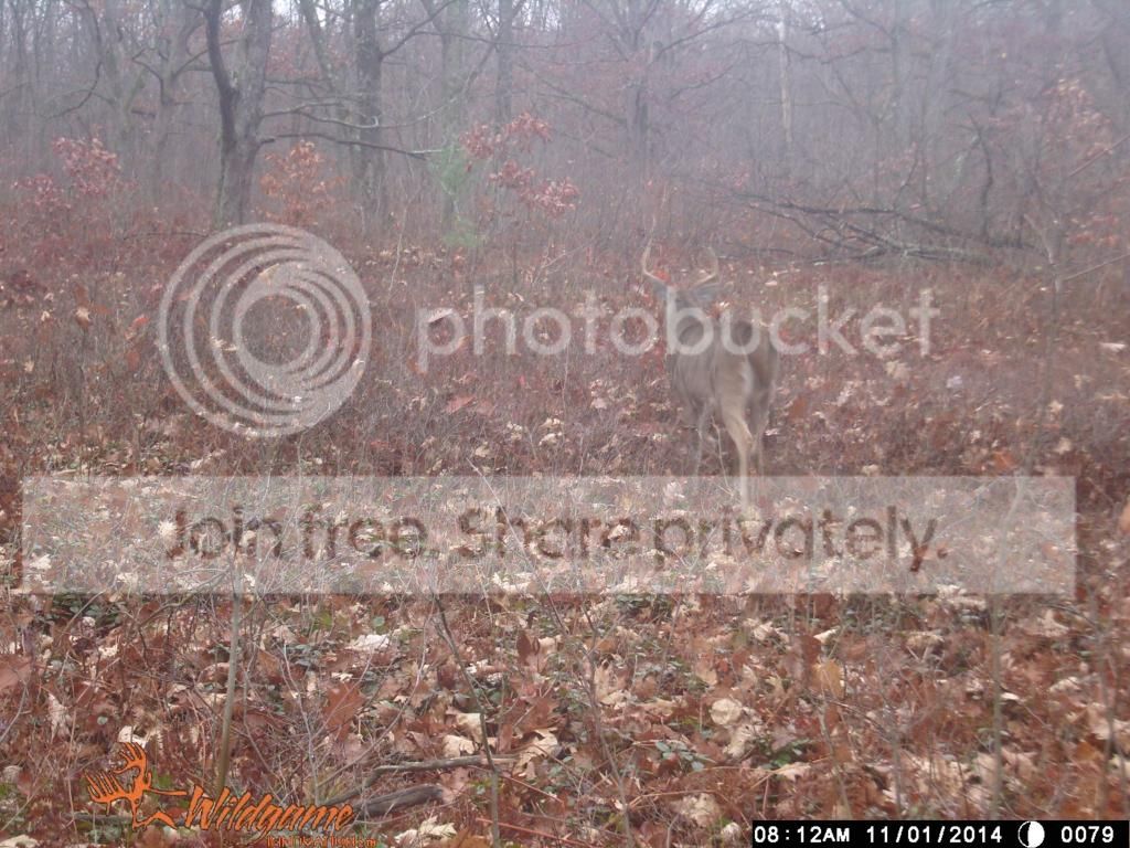 2G opening morning | The HuntingPA.com Outdoor Community